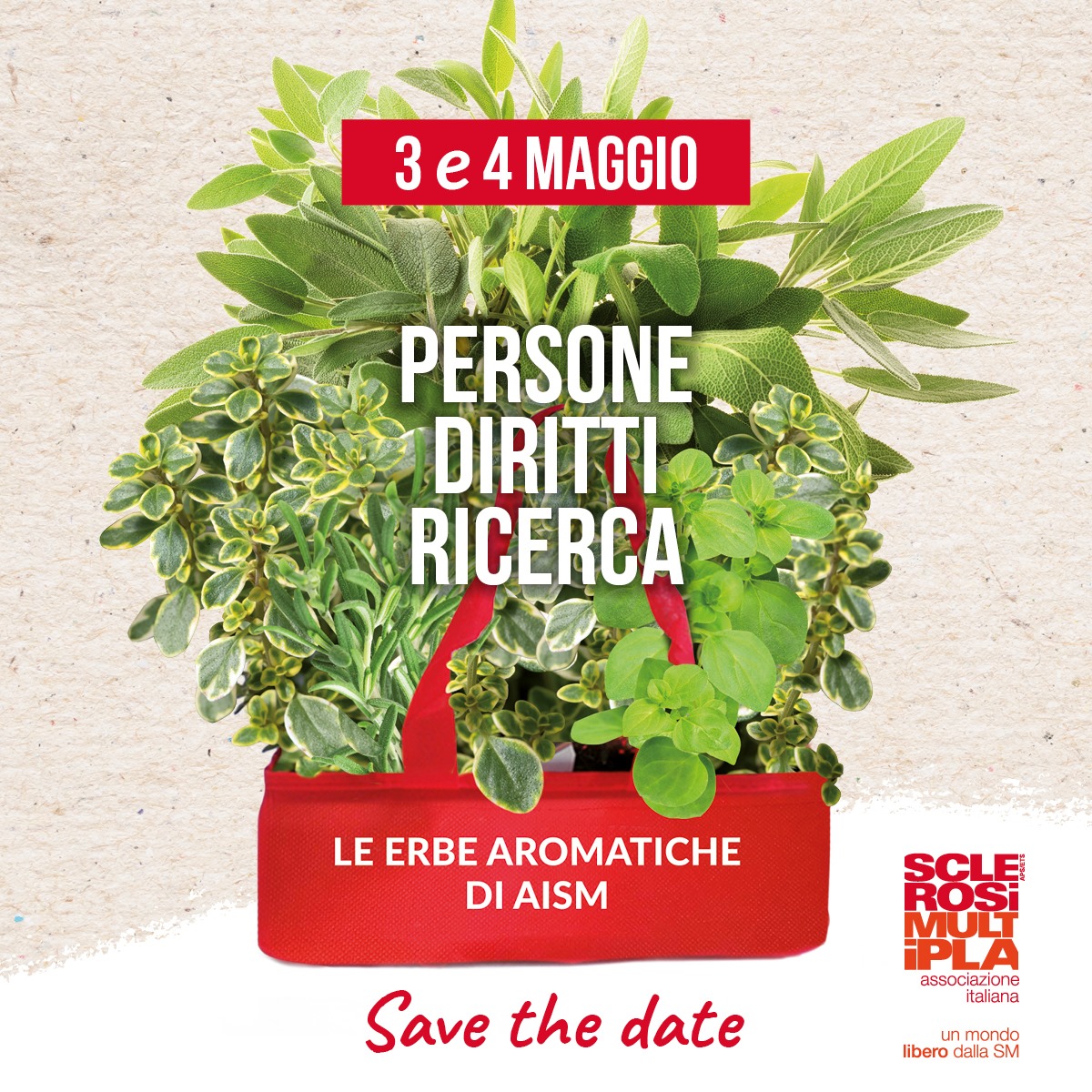 3 e 4 maggio 2025, le erbe aromatiche di AISM - Monti della Laga